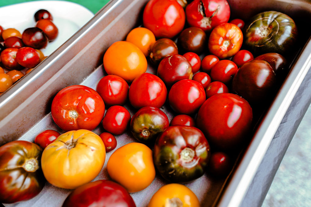 tinyfarmbigtable-caitlin-2023-08-15-2163 - One Straw Society